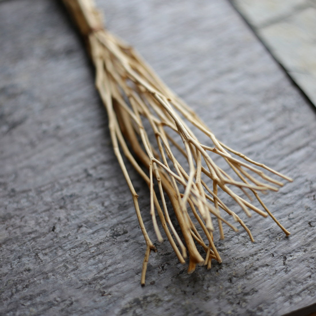 Birch Twig Whisk – Townsends