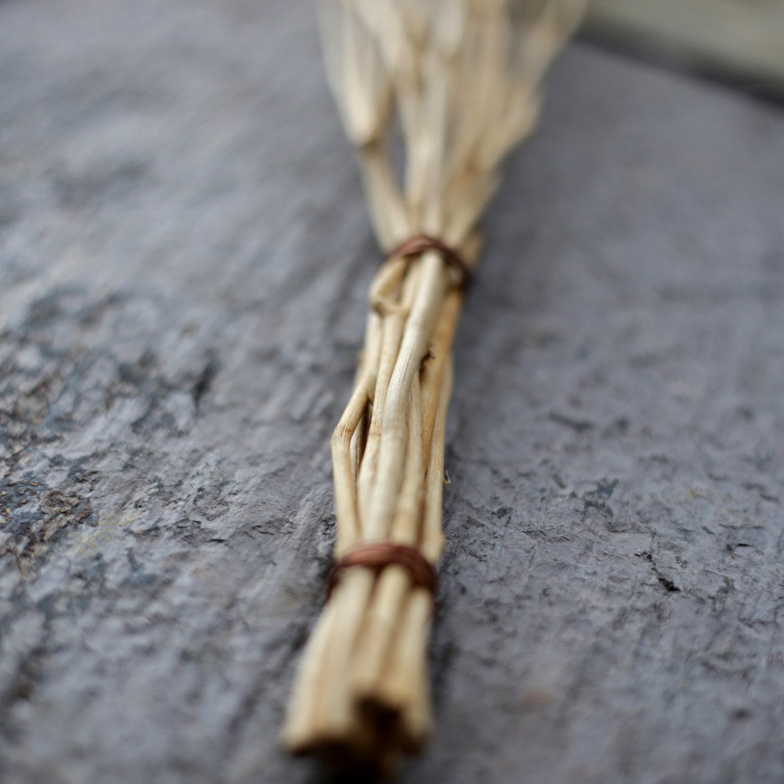 Birch Twig Whisk – Townsends