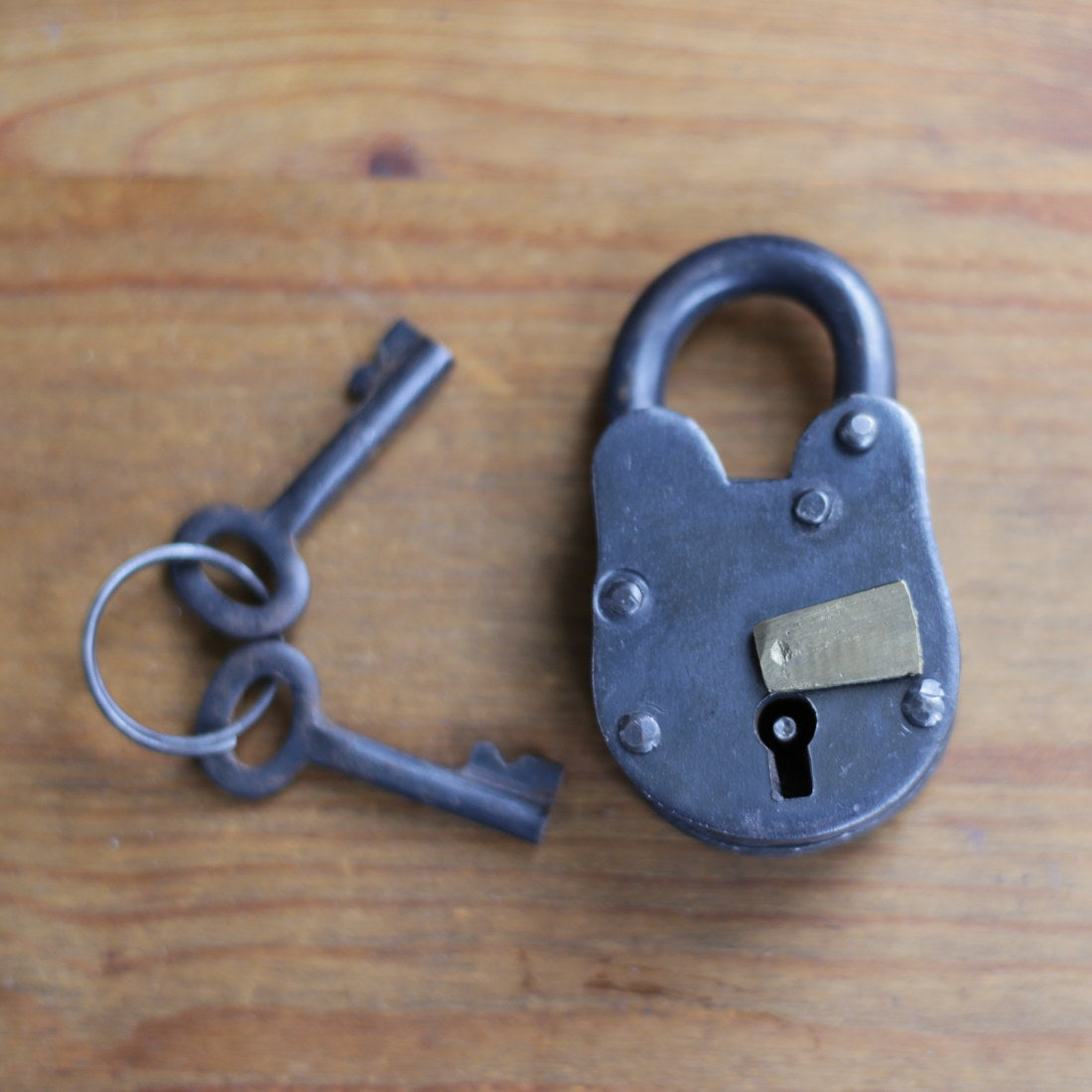 Sturdy Iron Padlocks Small – Townsends