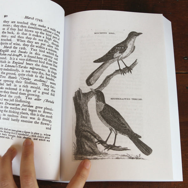 Peter Kalm's Travels Into North America – Townsends