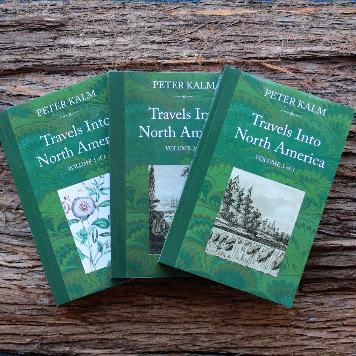 Peter Kalm's Travels Into North America – Townsends